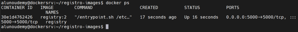 Como Usar Docker Registry Localmente Com Docker Compose Push E Docker