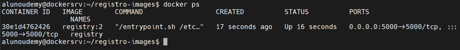 Como Usar Docker Registry Localmente Com Docker Compose Push E Docker